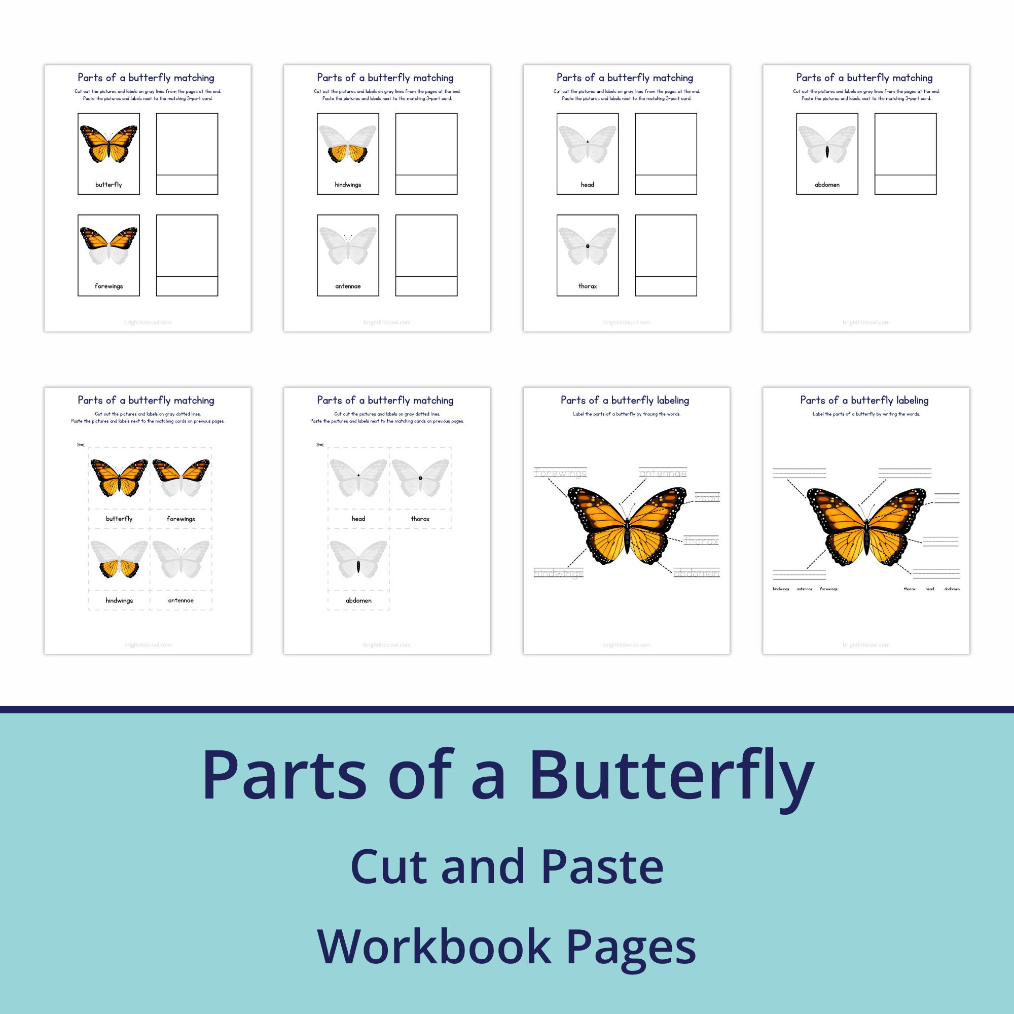 Butterfly Activity Worksheets Insects Spring Summer Montessori Cut and ...