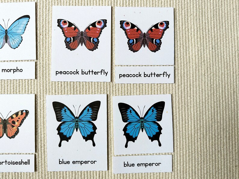 Montessori Butterfly 3-part Cards Language Printable Spring Butterflies ...