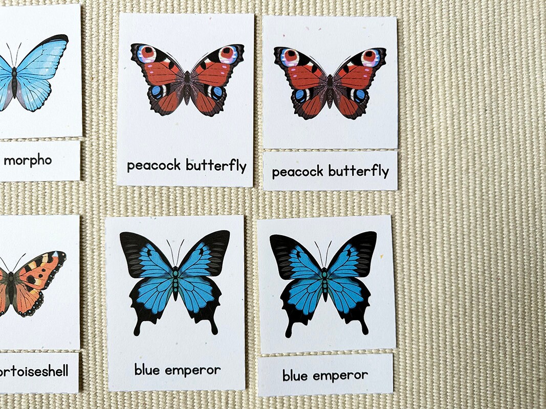 Montessori Butterfly 3-part Cards Language Printable Spring Butterflies ...