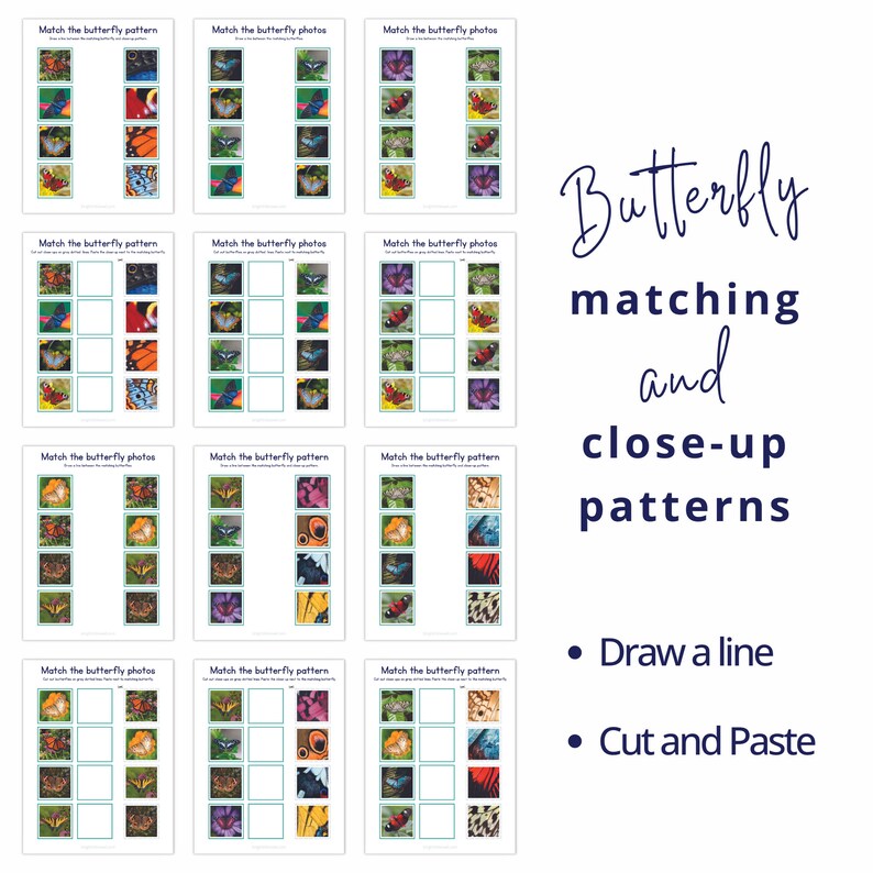 Butterfly Activity Worksheets Insects Spring Summer Montessori Cut and ...