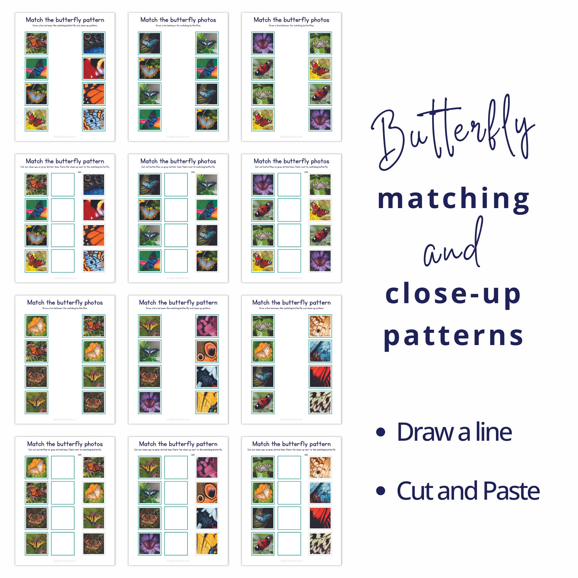 Butterfly Activity Worksheets Insects Spring Summer Montessori Cut and ...