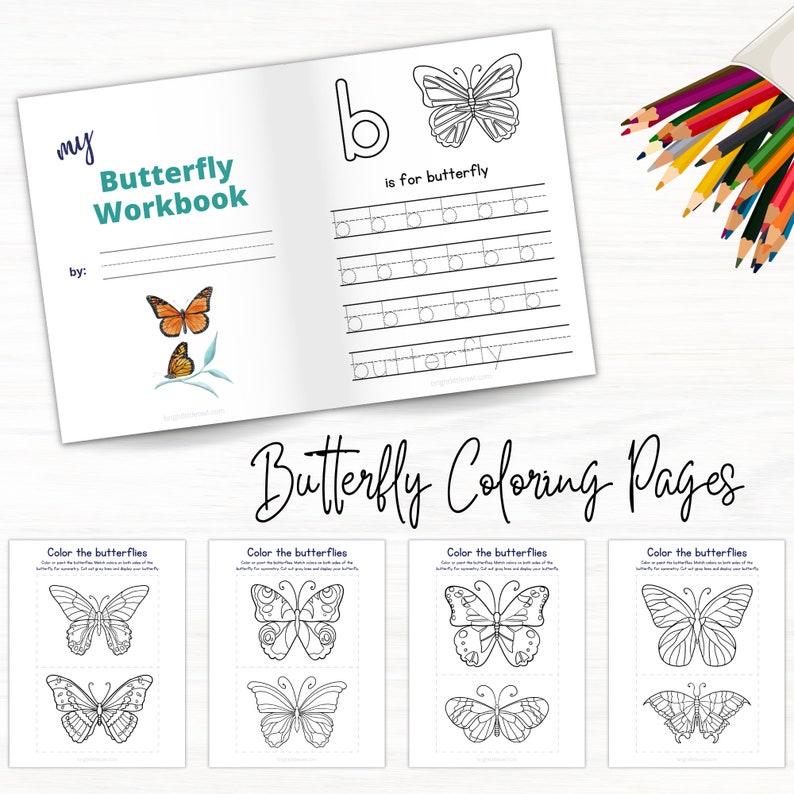 Butterfly Activity Worksheets Insects Spring Summer Montessori Cut and ...