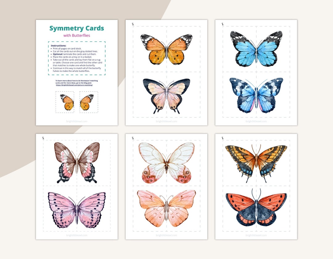 Butterfly Symmetry Puzzle Montessori Spring Insects Cards - Etsy