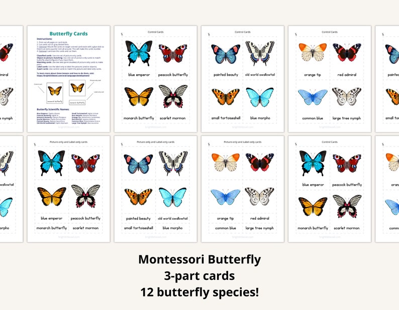 Montessori Butterfly 3-part Cards Language Printable Spring Butterflies ...
