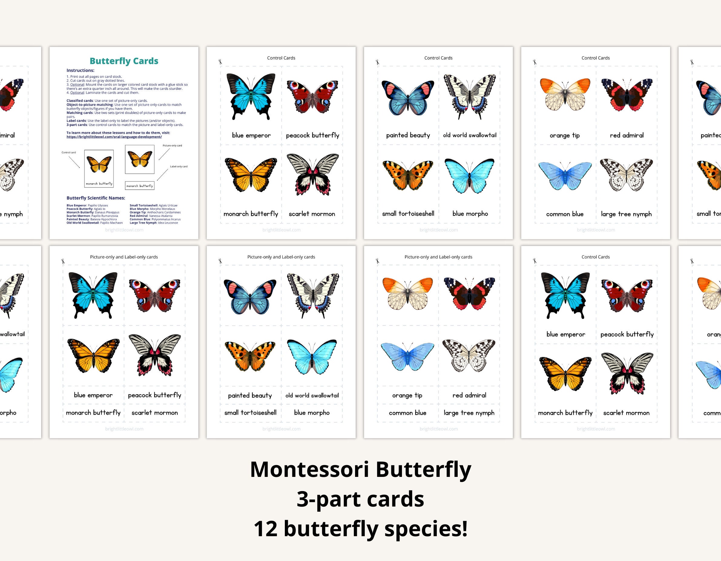 Montessori Butterfly 3-part Cards Language Printable Spring Butterflies ...