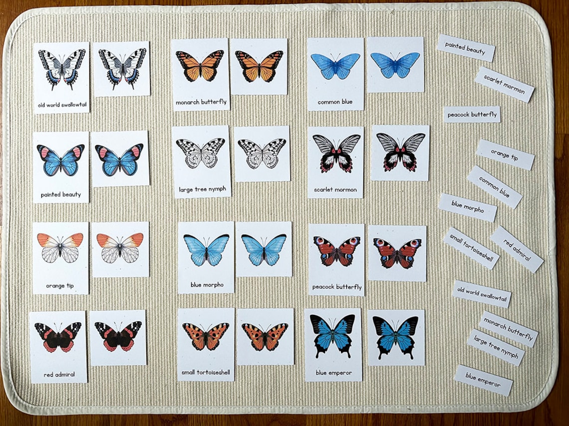 Montessori Butterfly 3-part Cards Language Printable Spring Butterflies ...