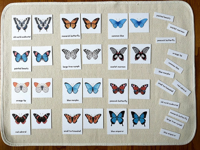 Montessori Butterfly 3-part Cards Language Printable Spring Butterflies ...