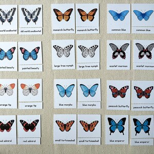 Montessori Butterfly 3-part Cards Language Printable Spring Butterflies ...