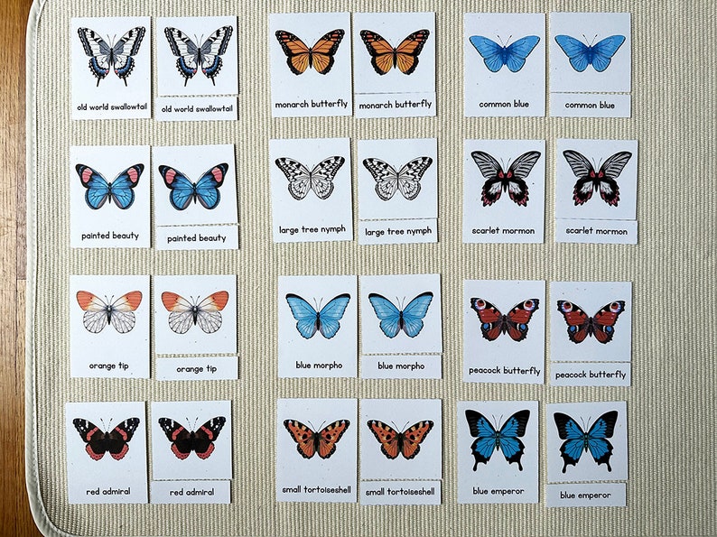 Montessori Butterfly 3-part Cards Language Printable Spring Butterflies ...