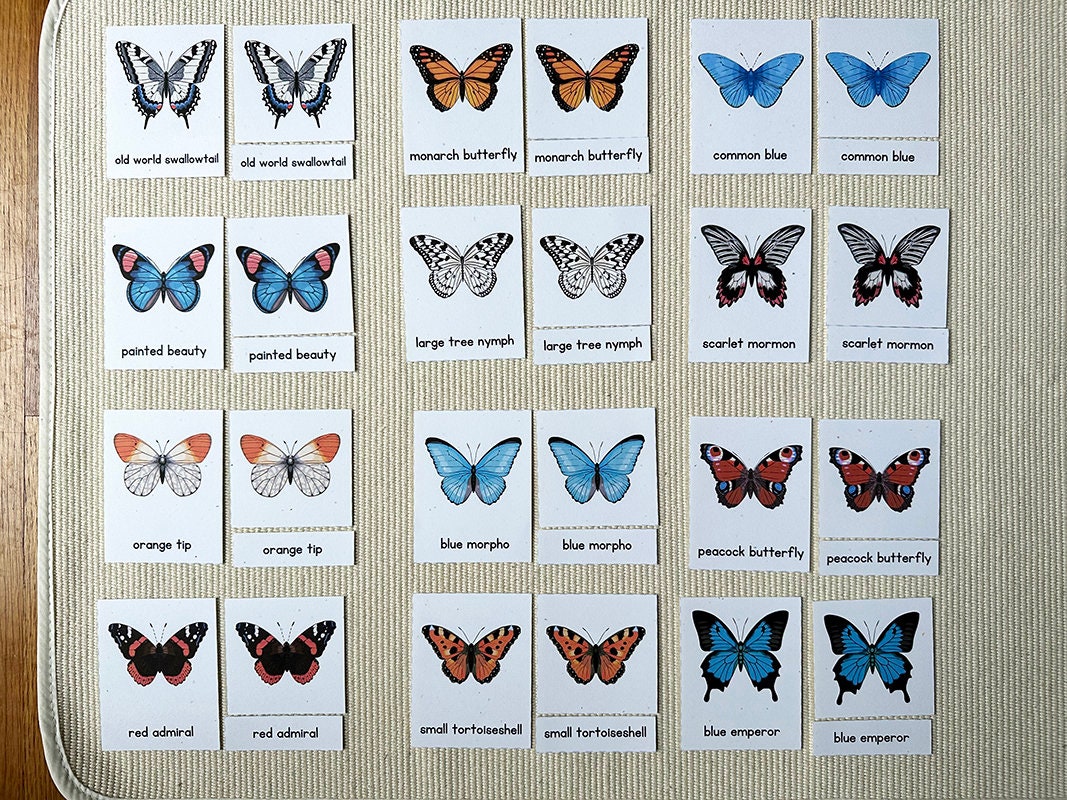 Montessori Butterfly 3-part Cards Language Printable Spring Butterflies ...