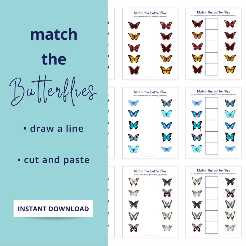 Butterfly Activity Worksheets Insects Spring Summer Montessori Cut and ...