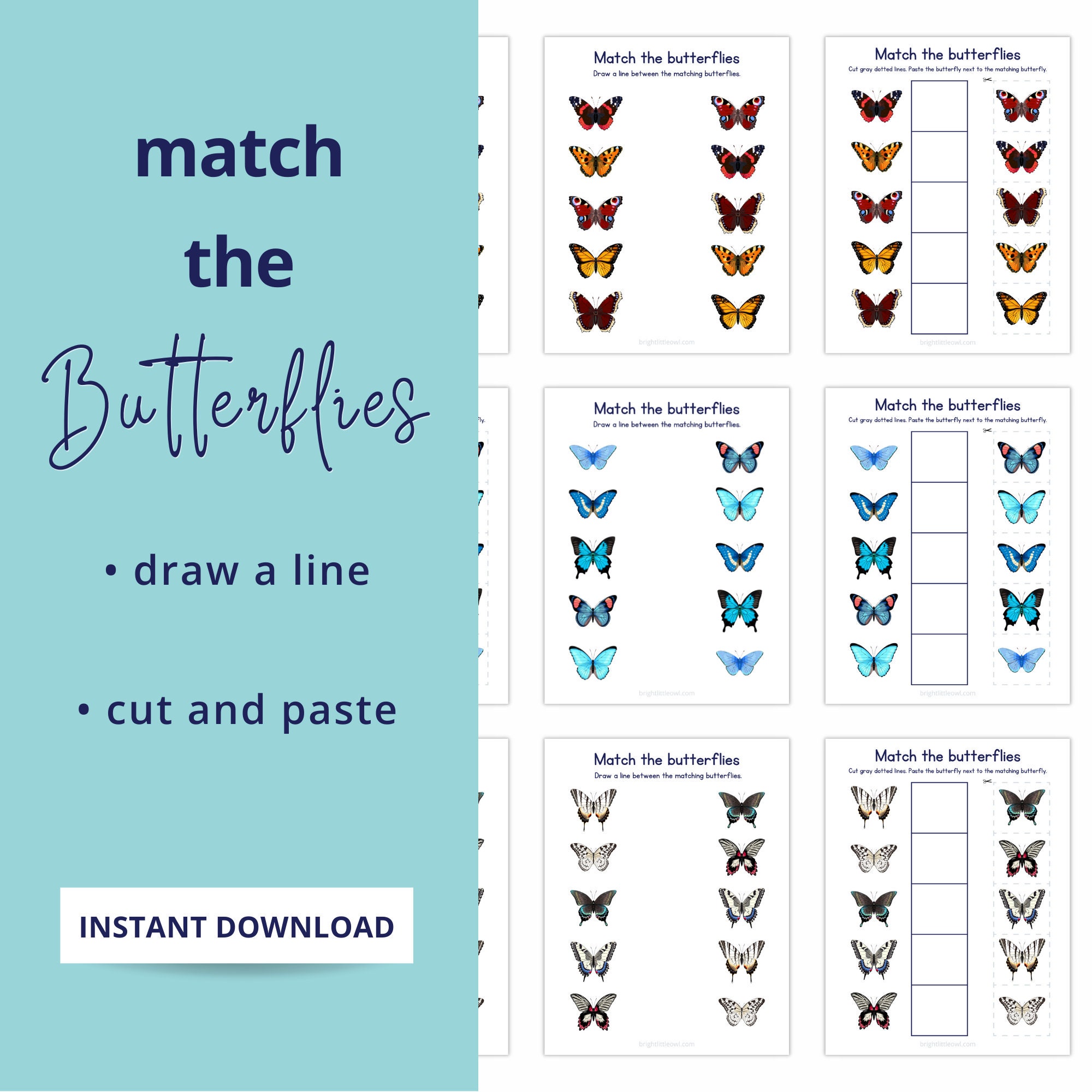 Butterfly Activity Worksheets Insects Spring Summer Montessori Cut and ...