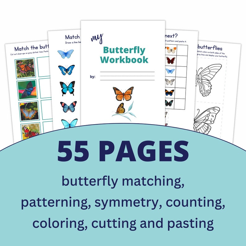 Butterfly Activity Worksheets Insects Spring Summer Montessori Cut and ...