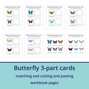 Butterfly Activity Worksheets Insects Spring Summer Montessori Cut and ...