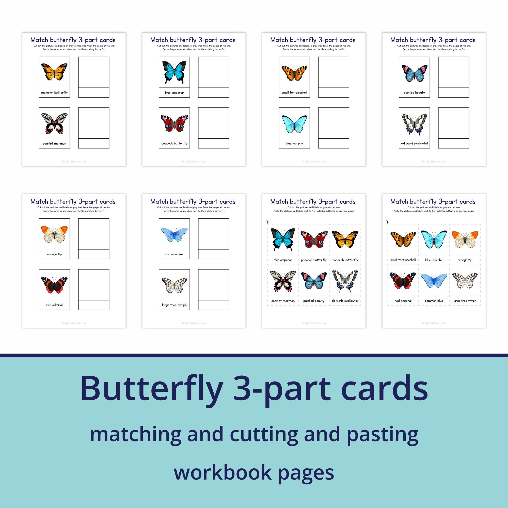 Butterfly Activity Worksheets Insects Spring Summer Montessori Cut and ...
