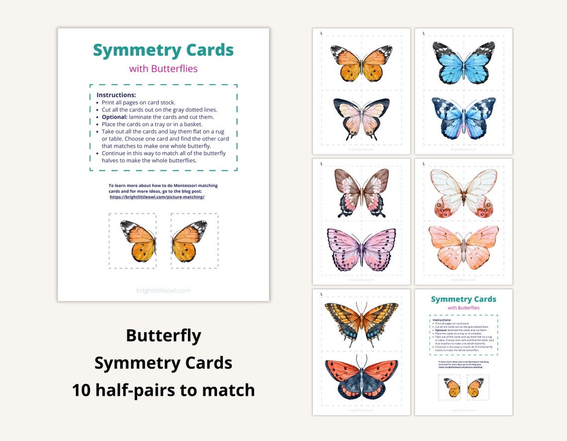 Butterfly Symmetry Puzzle Montessori Spring Insects Cards - Etsy Canada