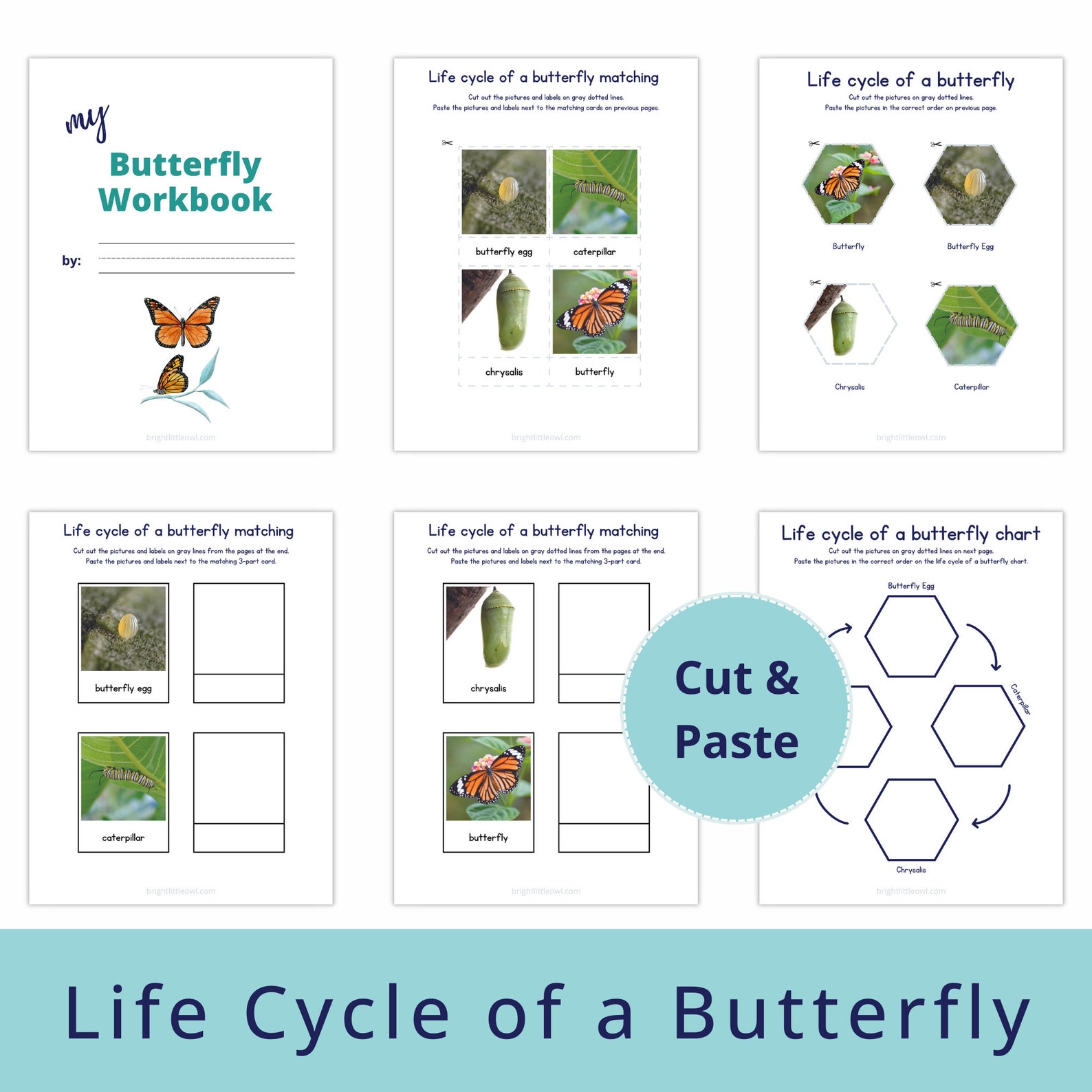 Butterfly Activity Worksheets Insects Spring Summer Montessori Cut and ...
