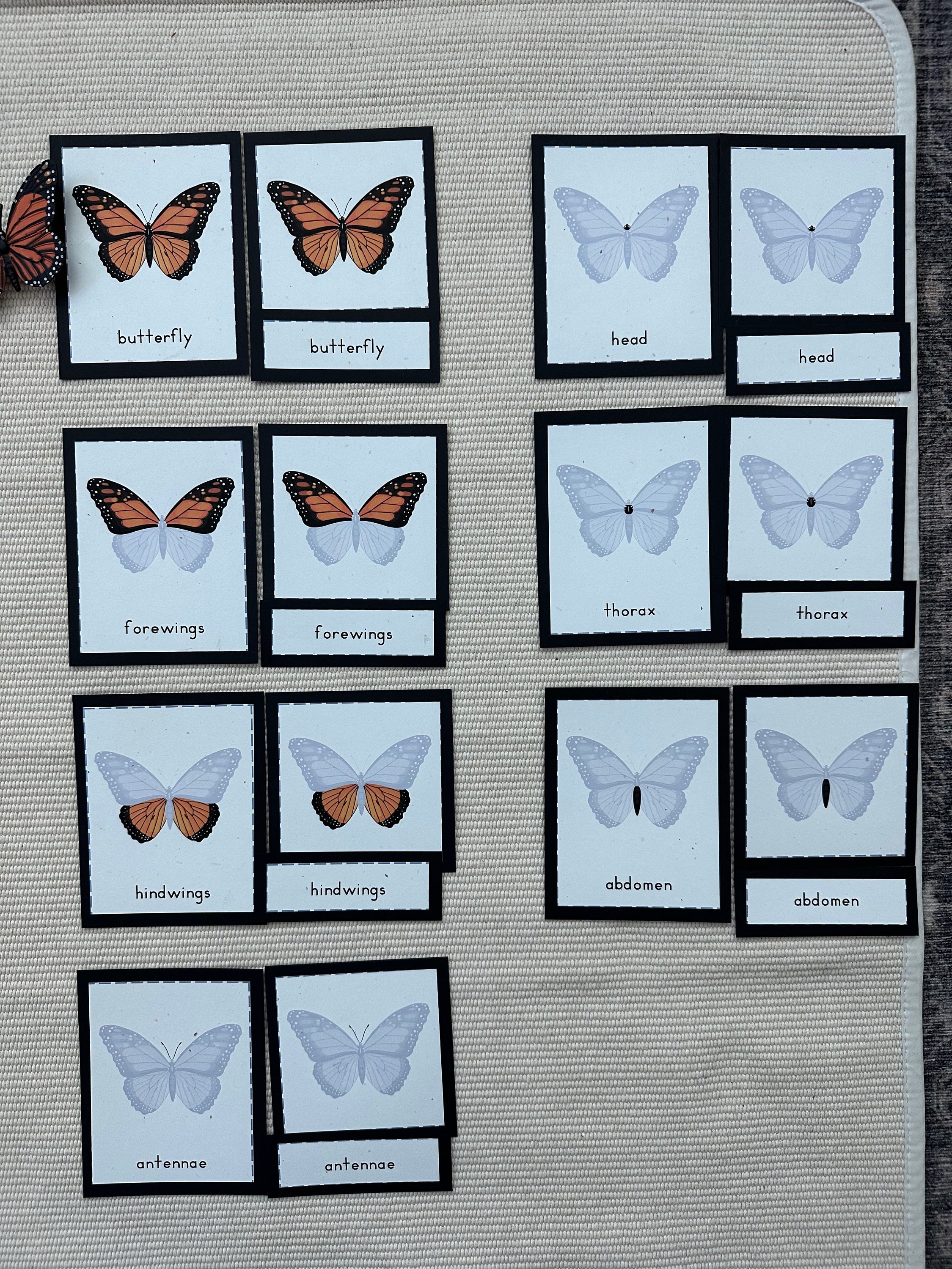 Butterfly Activities - 11 Printables: Cutting Strips - Matching ...