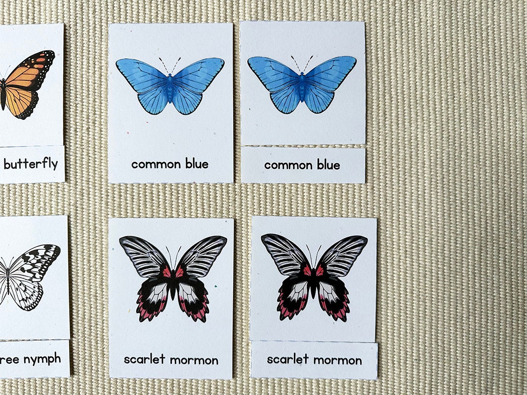 Montessori Butterfly 3-part Cards Language Printable Spring Butterflies ...