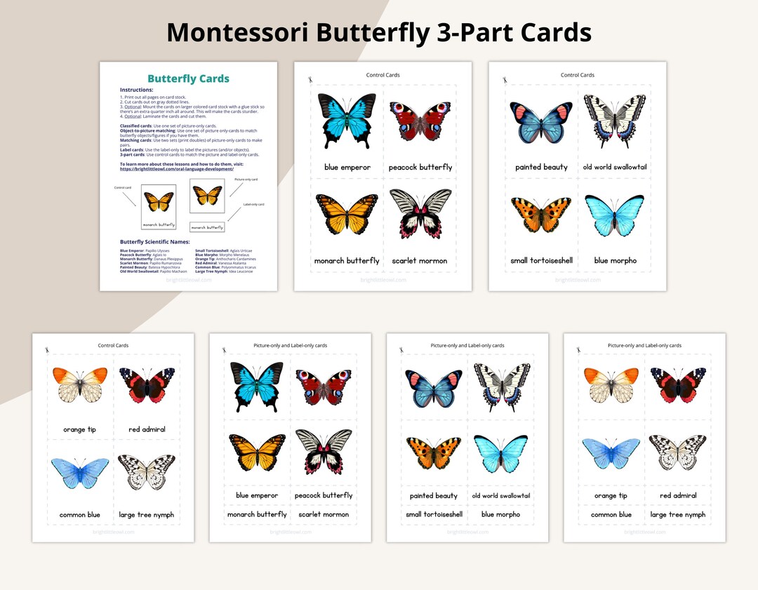 Montessori Butterfly 3-part Cards Language Printable Spring Butterflies ...
