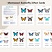 Montessori Butterfly 3-part Cards Language Printable Spring Butterflies ...