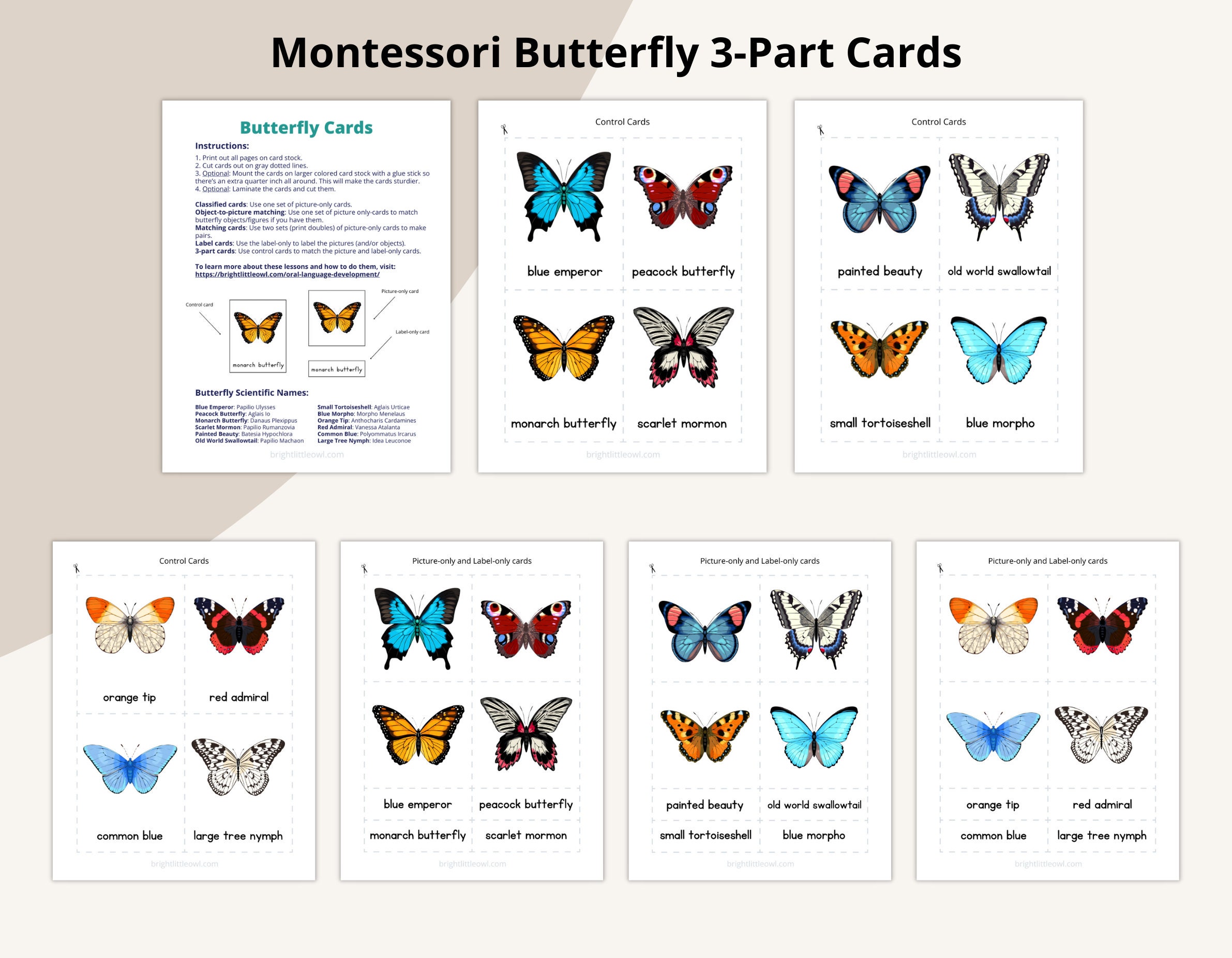 Montessori Butterfly 3-part Cards Language Printable Spring Butterflies ...
