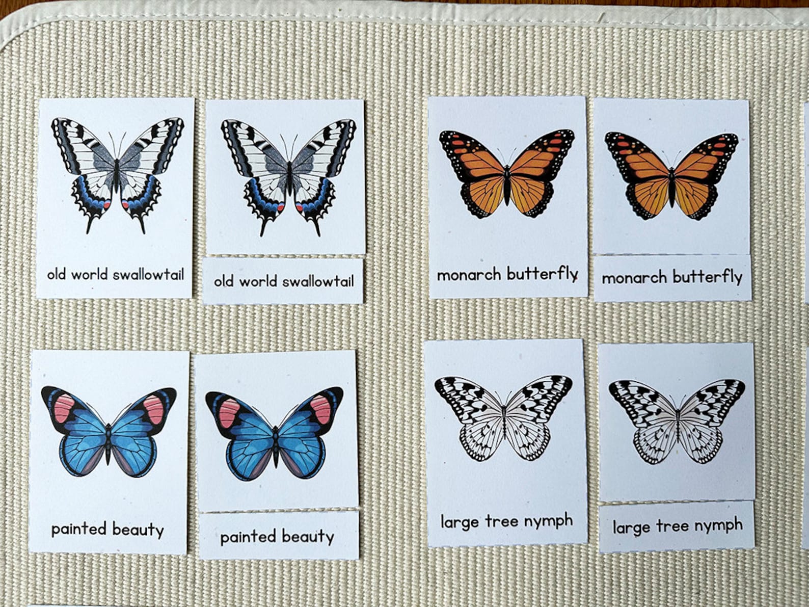 Montessori Butterfly 3-part Cards Language Printable Spring Butterflies ...
