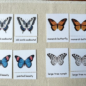 Montessori Butterfly 3-part Cards Language Printable Spring Butterflies ...