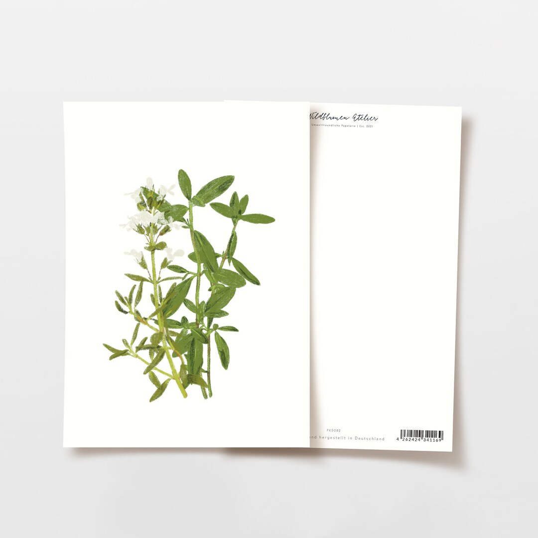 Postcard Flowers Thyme Savory, Hand Drawn Botanical Drawing, Birthday ...
