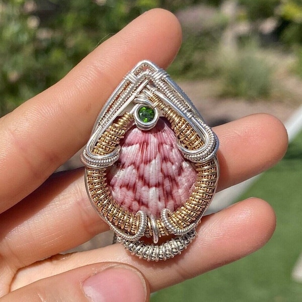 Seashell Jewelry - Etsy