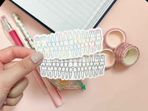Dental Anatomy Stickers Dental Stickers for Laptop Teeth | Etsy