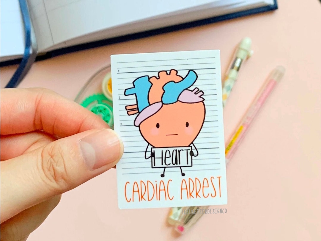 Anatomy Stickers for Water Bottle, Science Stickers Funny, Kawaii ...