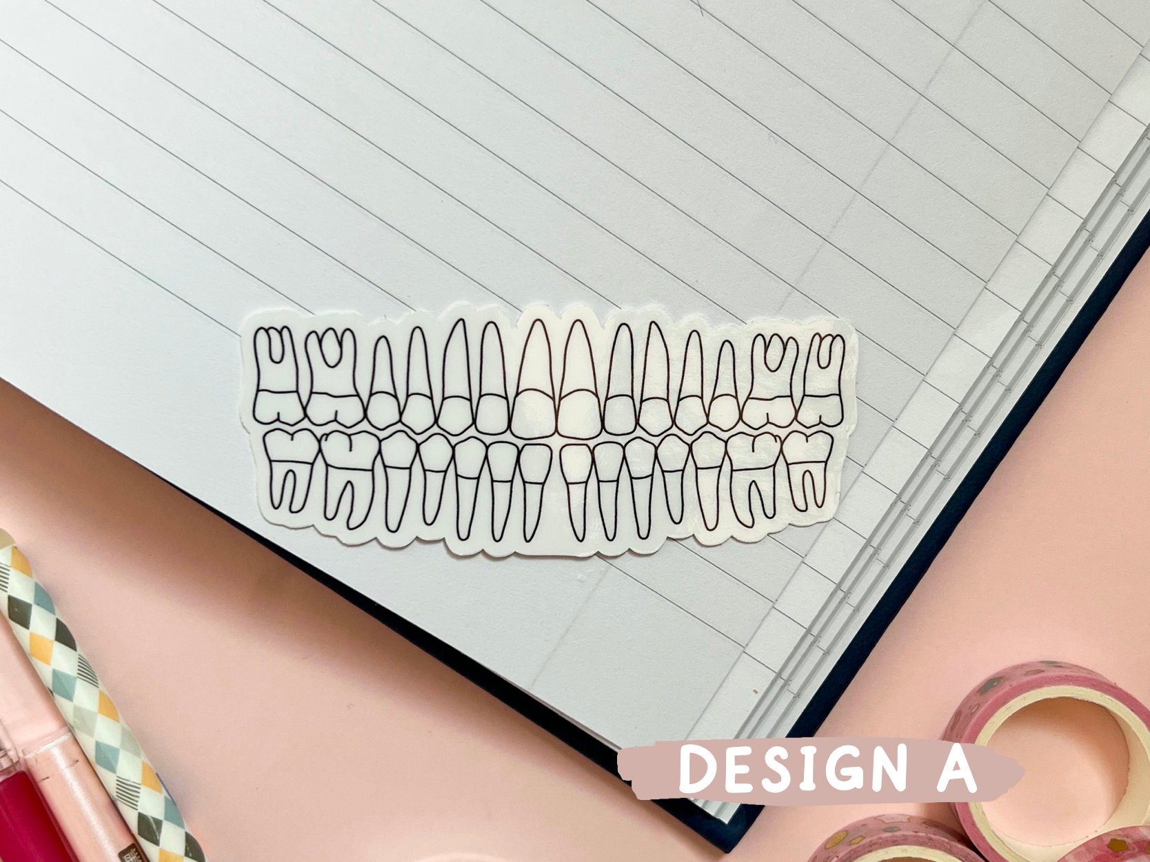 Dental Anatomy Stickers Dental Stickers for Laptop Teeth | Etsy