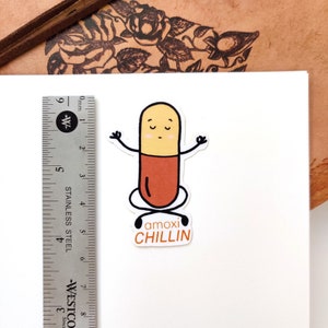 Pill stickers for laptop medical stickers funny kawaii | Etsy