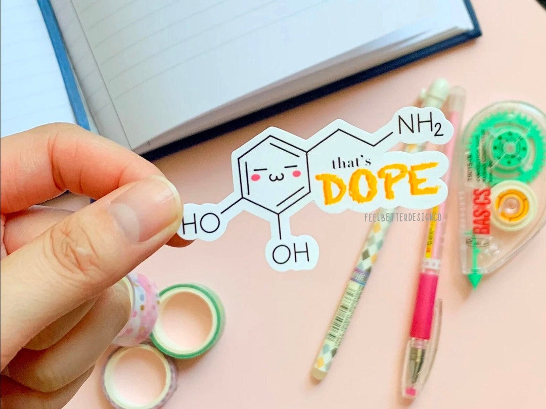 Chemistry Stickers for Laptop Science Sticker for Students - Etsy