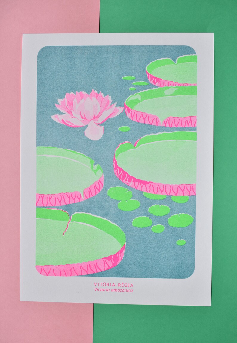 A4 Vitória-régia - Victoria Amazonica Risograph Print | Tropical Wall ...