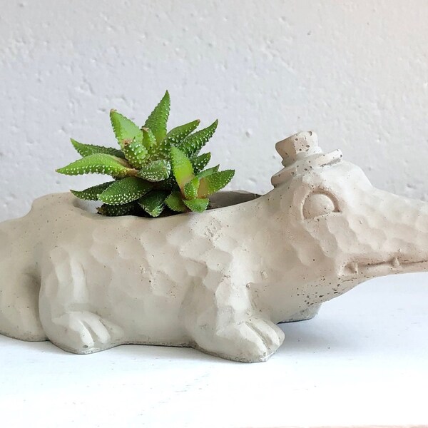 Alligator Planter - Etsy