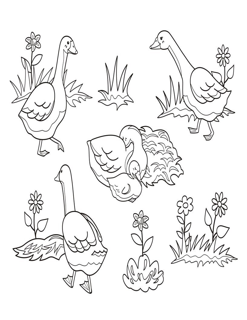 100 Animal Coloring Pages - Etsy