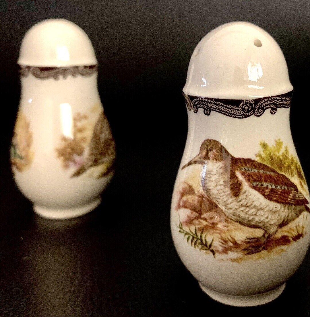 Royal Worcester Palissy Games Series Salt and Pepper Pots, England, VGC ...