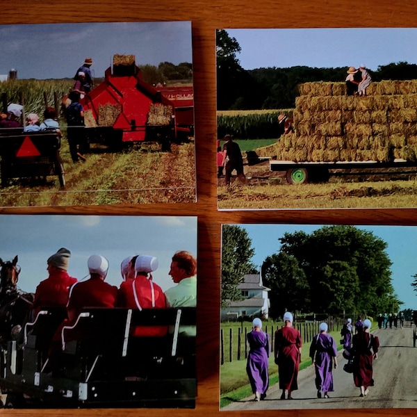 Amish Greeting Cards - Etsy