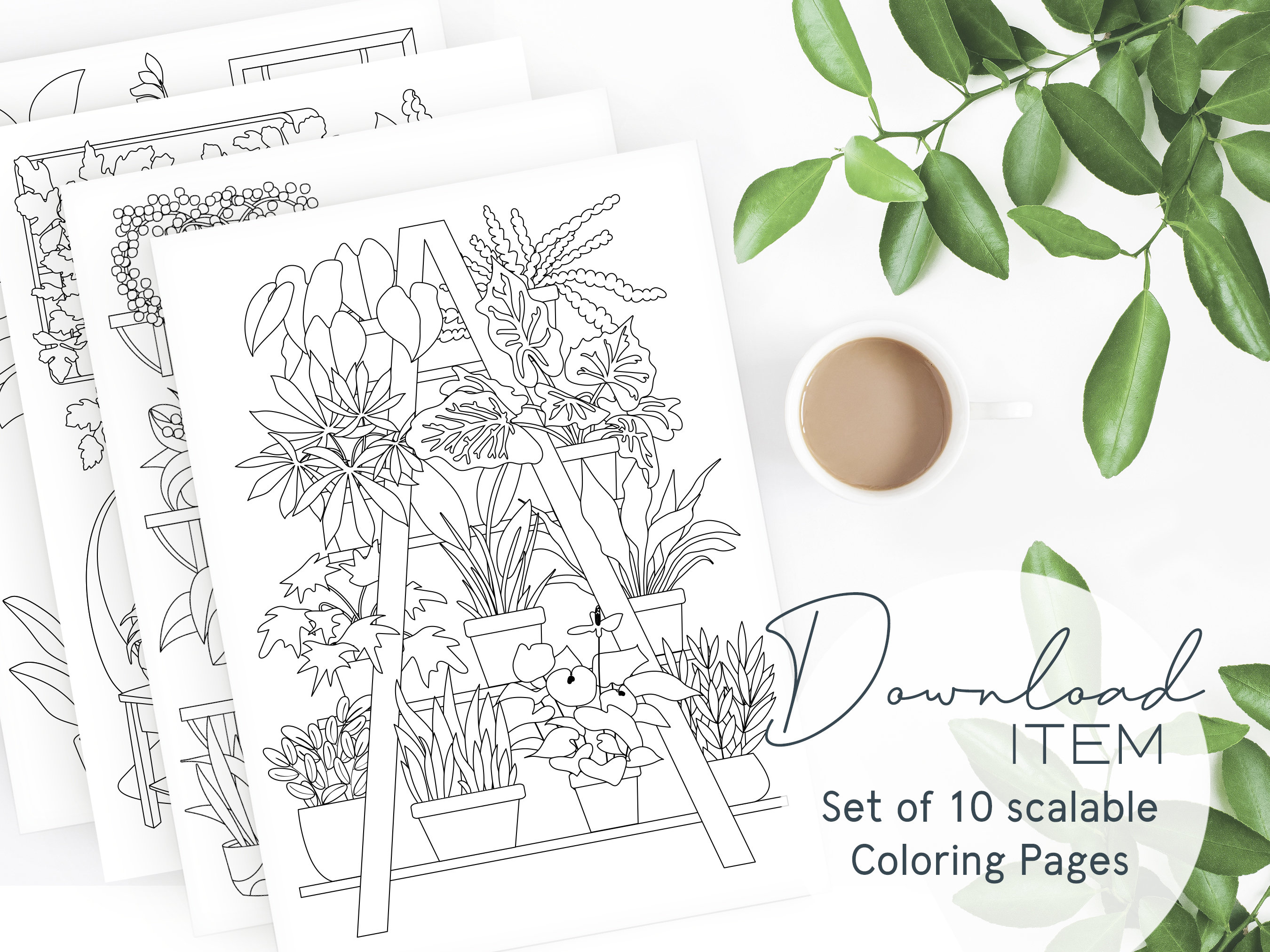 Crazy Coloring Sheets