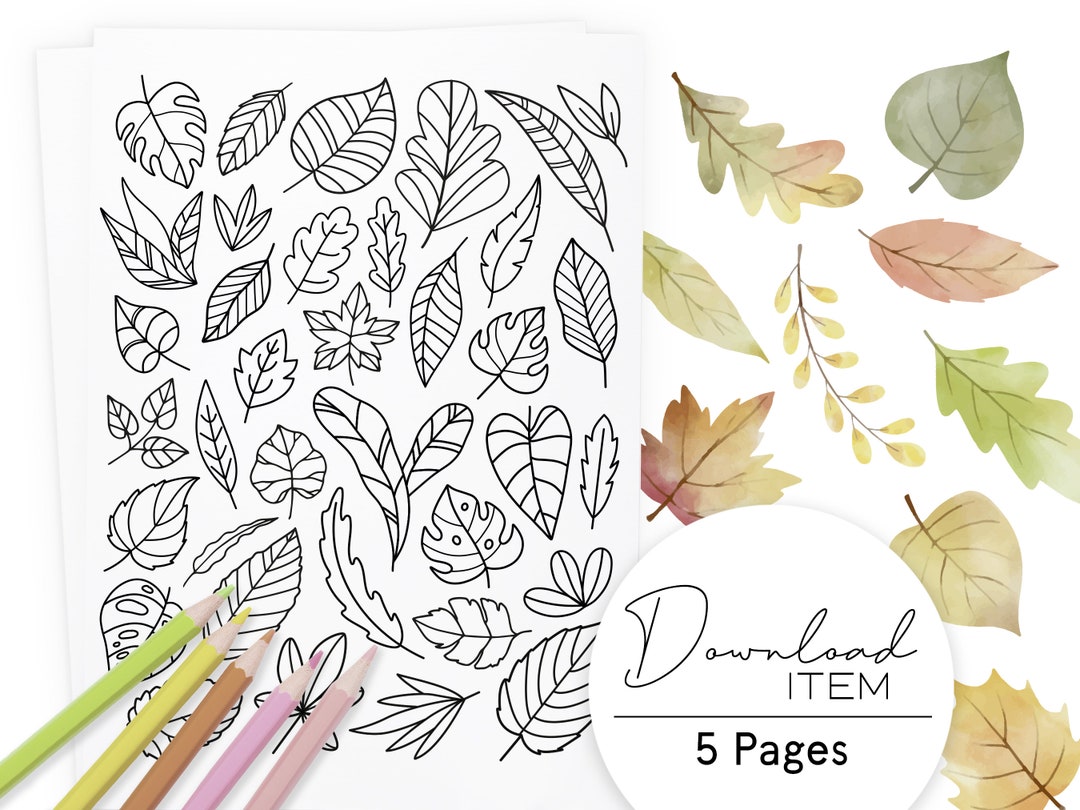 Coloring Pages for Adults: "lovely Leaves", Printable PDF With 5 Pages ...