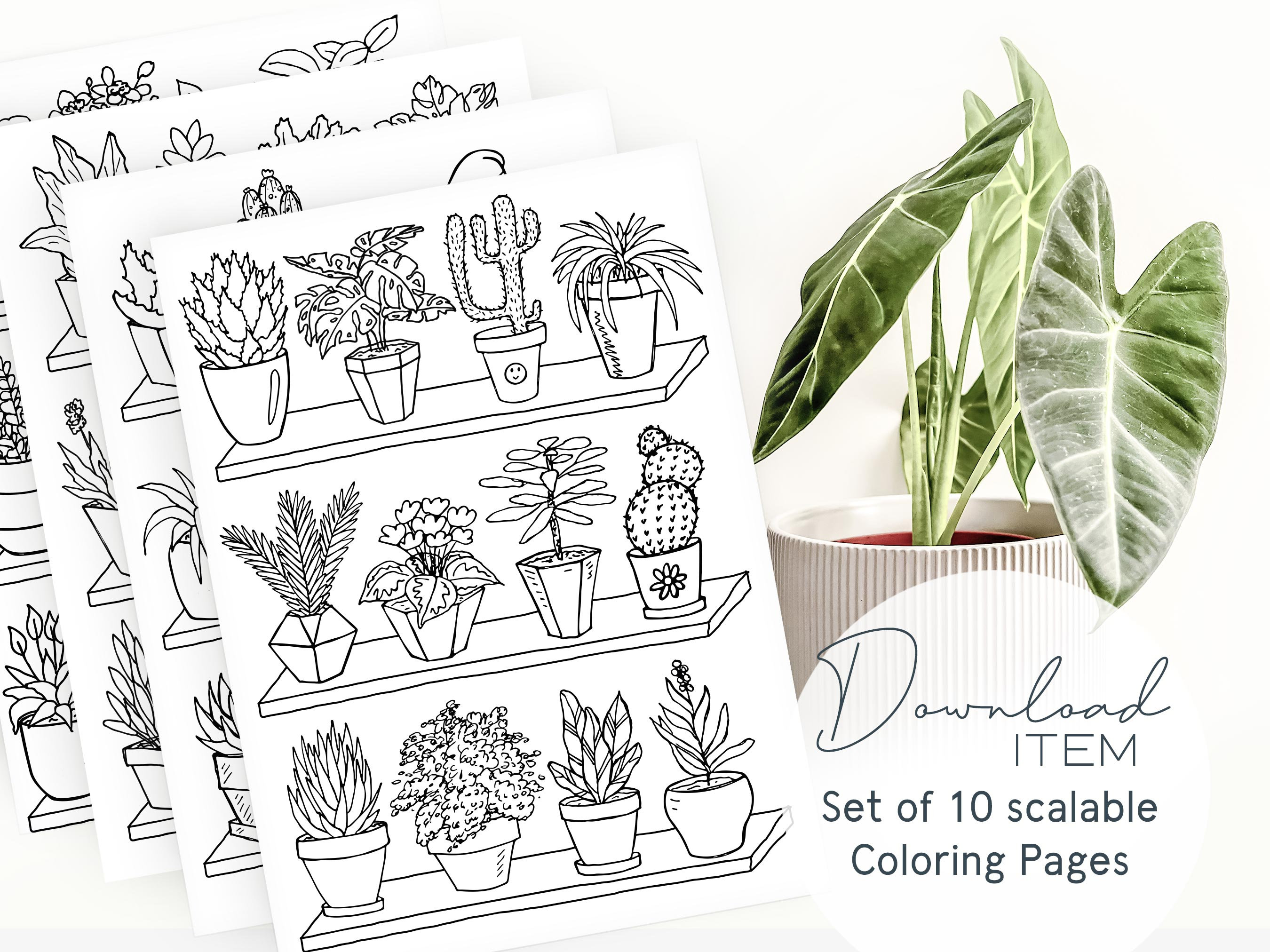 Plant Coloring Pages for Adults: hand-drawn Houseplants, Printable PDF ...