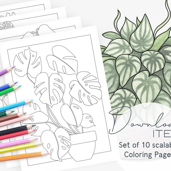 Printable Houseplant Coloring Pages - Etsy