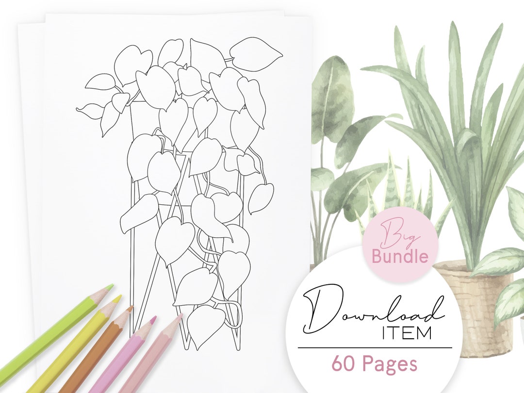 Plant Coloring Pages for Adults: "houseplant Heaven", Bundle, Printable ...