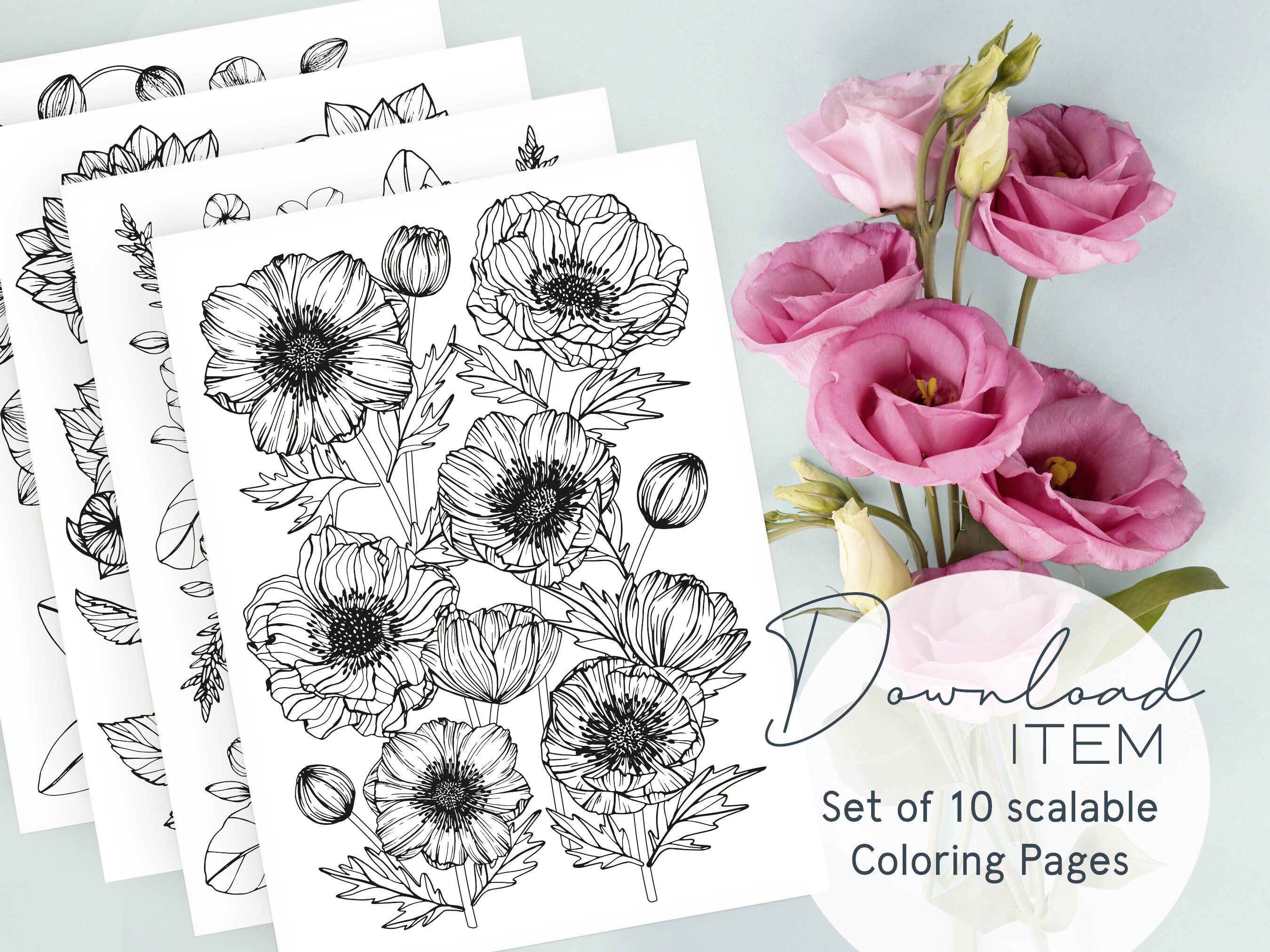 Floral Coloring Pages for Adults: Flower Frenzy Set 3 of 3, Digital ...