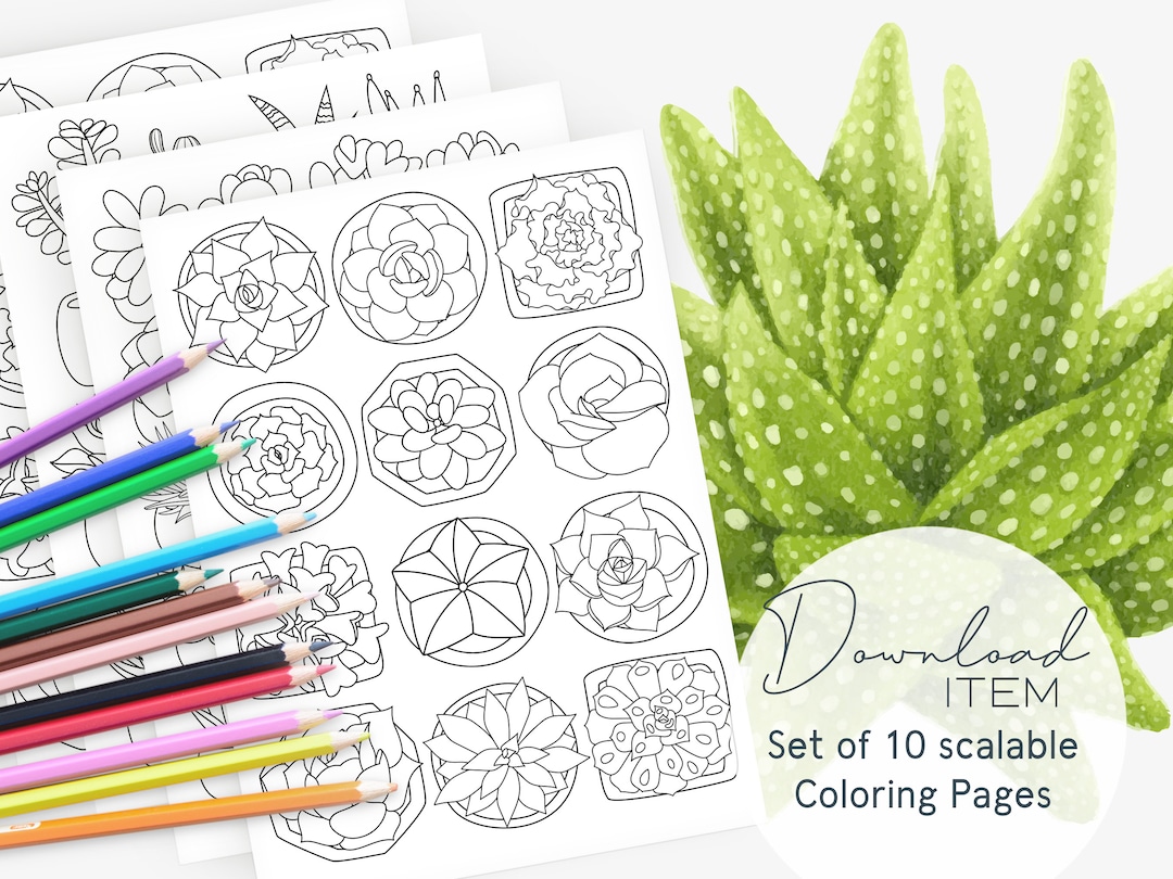 Plant Coloring Pages for Adults: succulents, Potted Plants, Digital ...