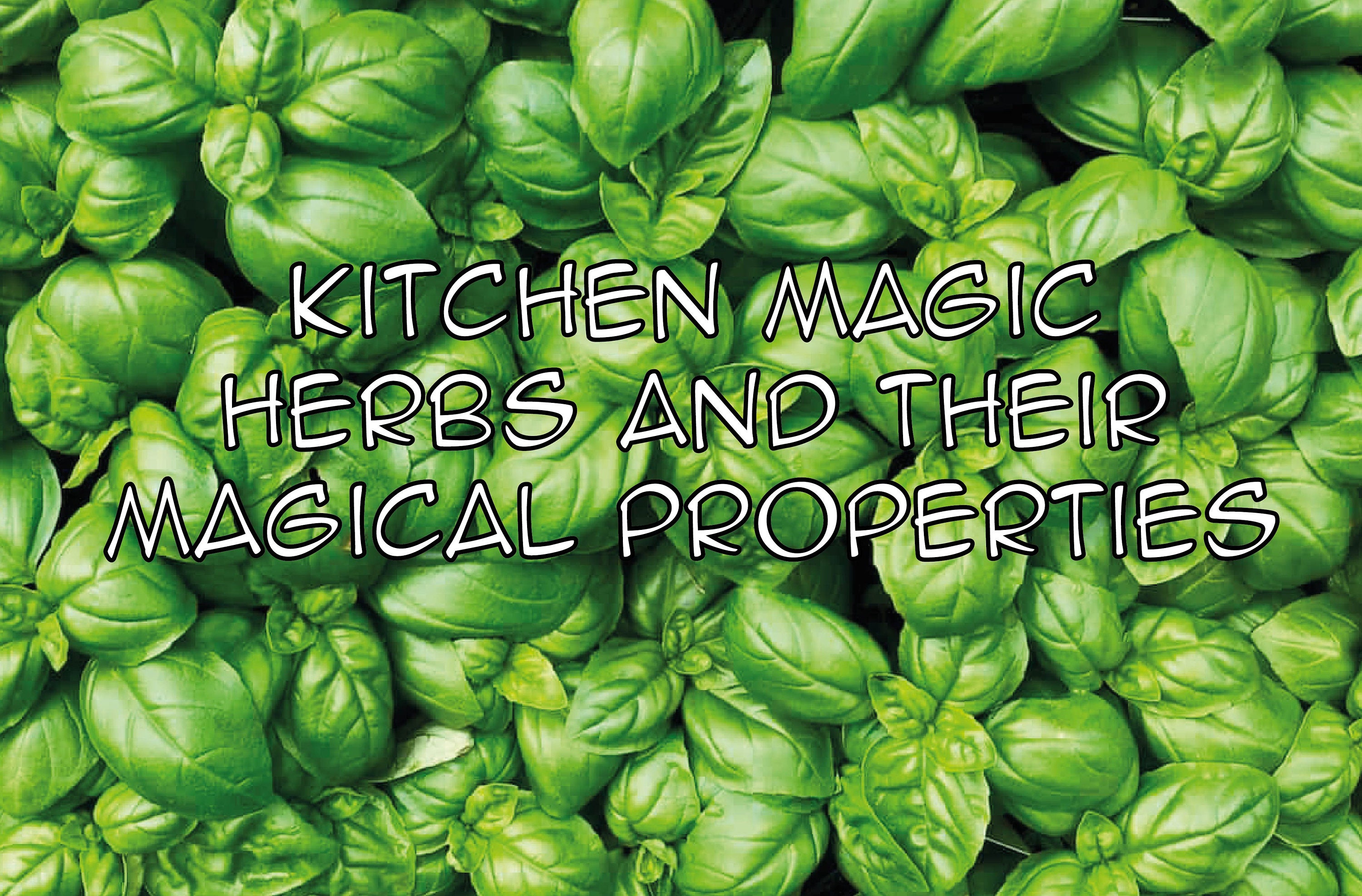 Kitchen Magick Herb Magical Properties Printable PDF A-Z of - Etsy