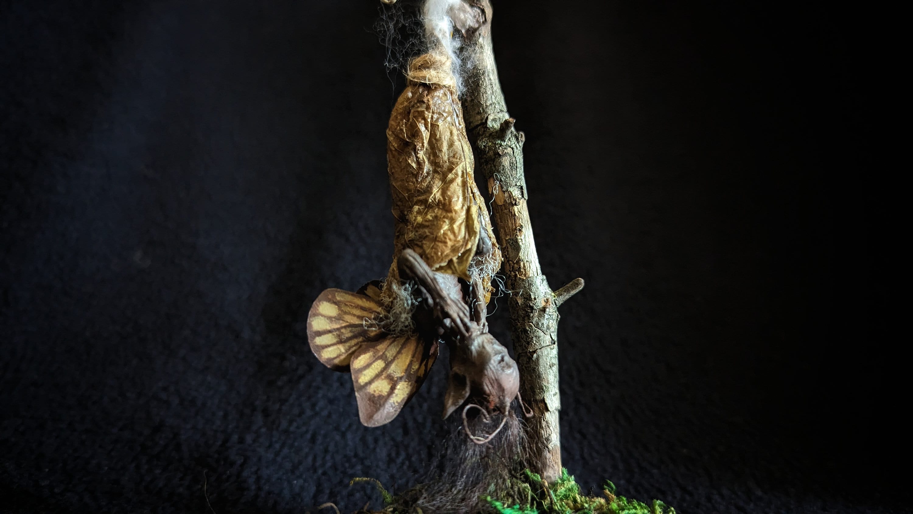 Mummified Fairy Chrysalis, Creepy Polymer Clay Sculpture - Etsy