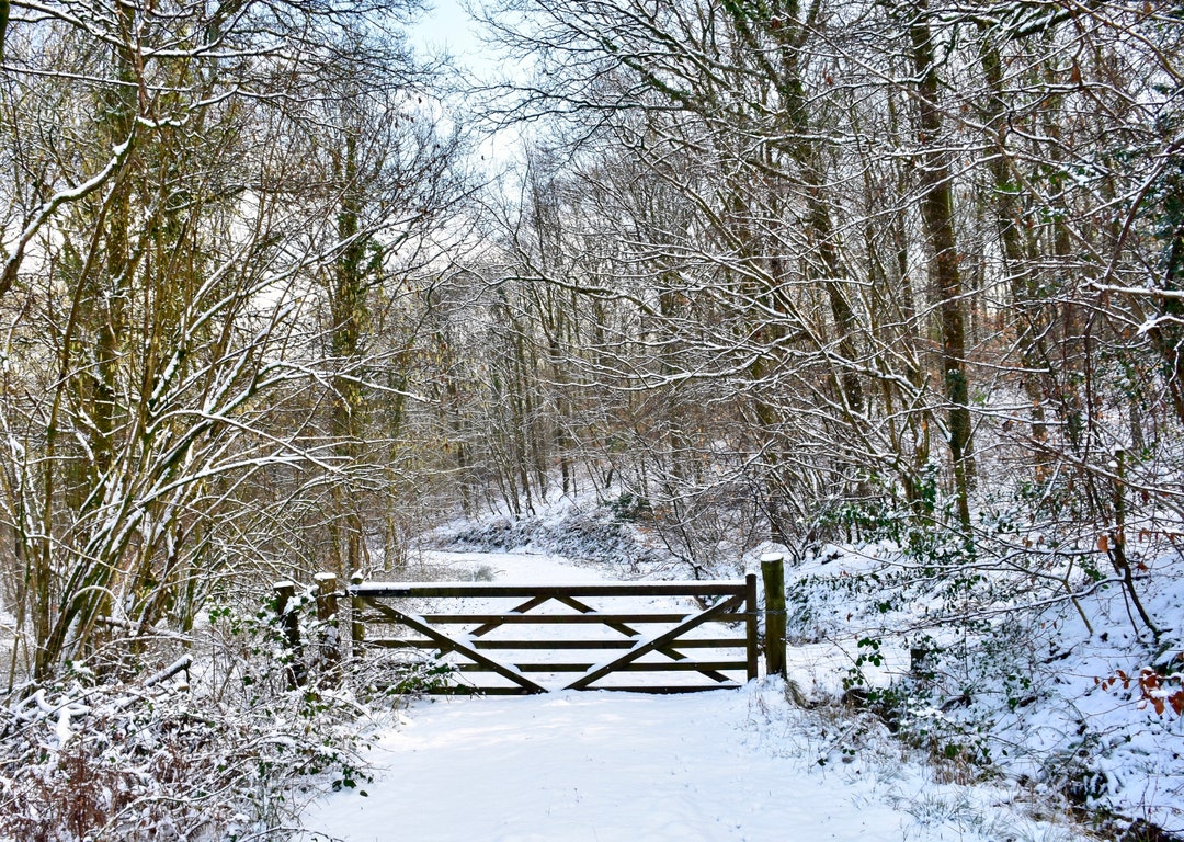 My Snowy Gate on a Canvas Print. - Etsy UK